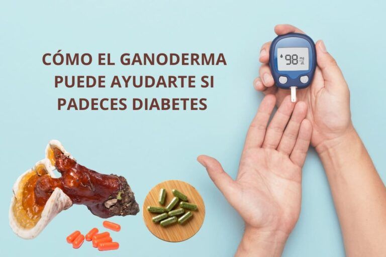 GUÍA NATURAL: Cómo el Ganoderma Lucidum puede ayudarte a controlar la ...